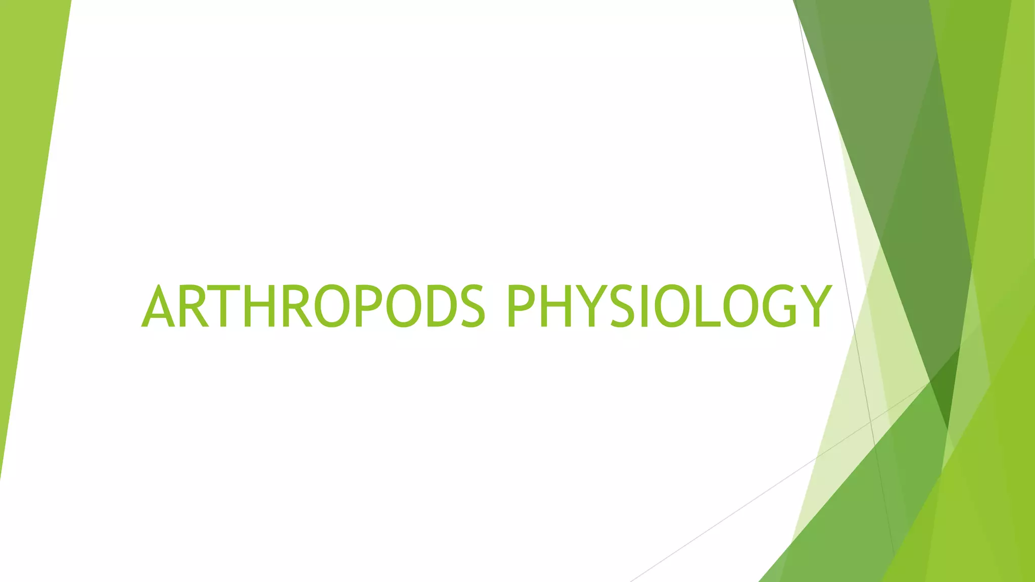 Insects physiology | PPTX