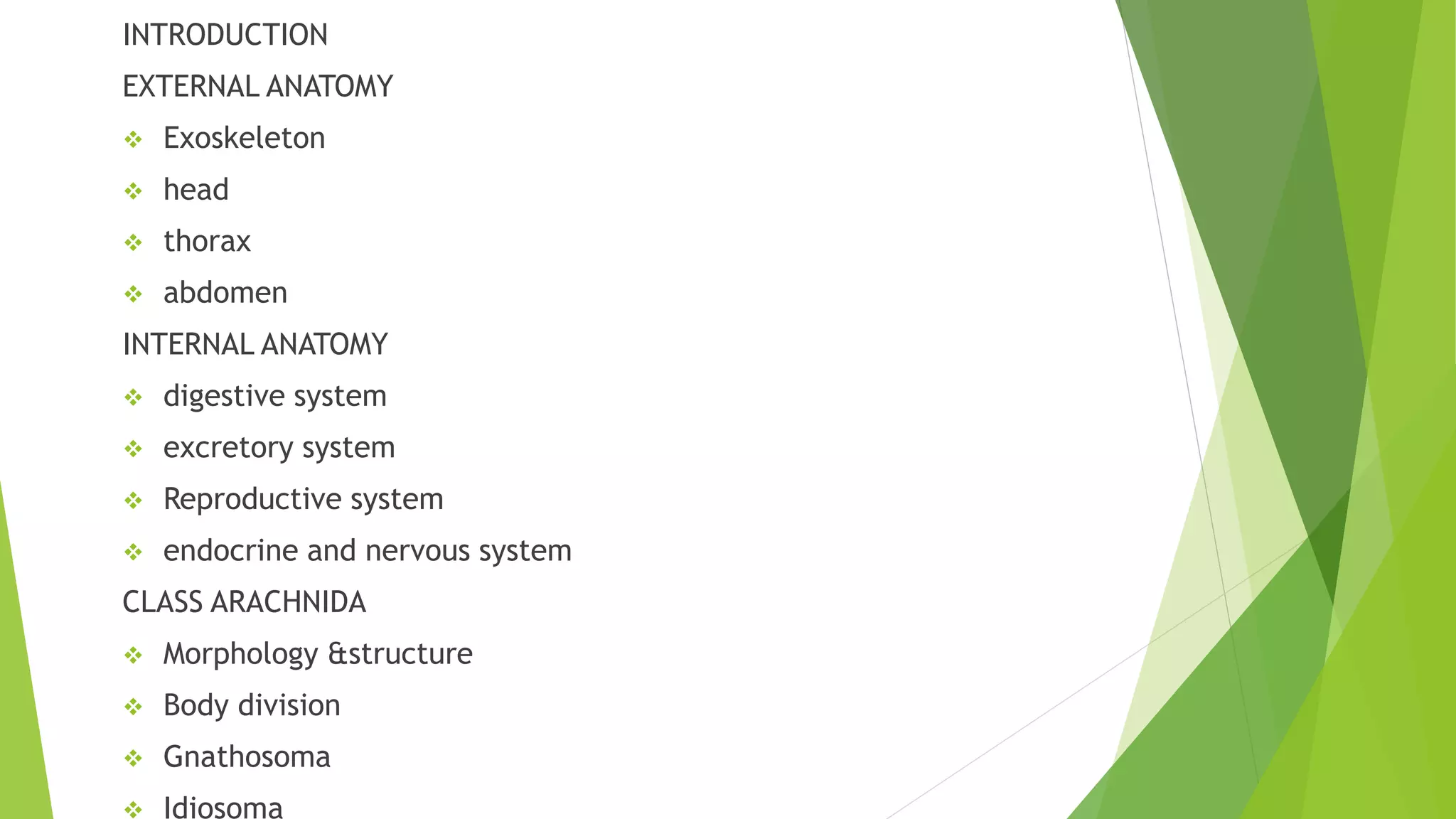 Insects physiology | PPTX