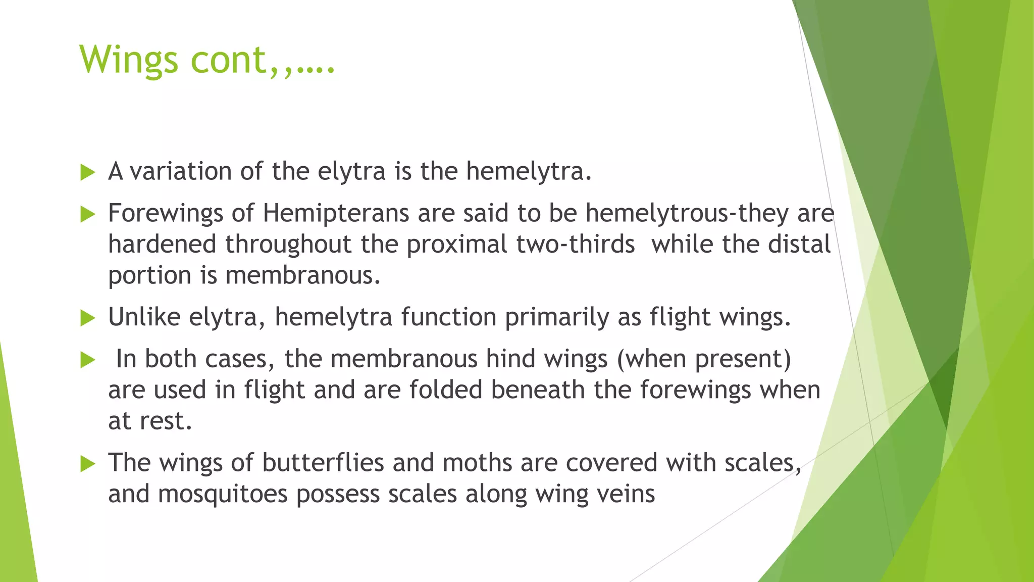 Insects physiology | PPTX