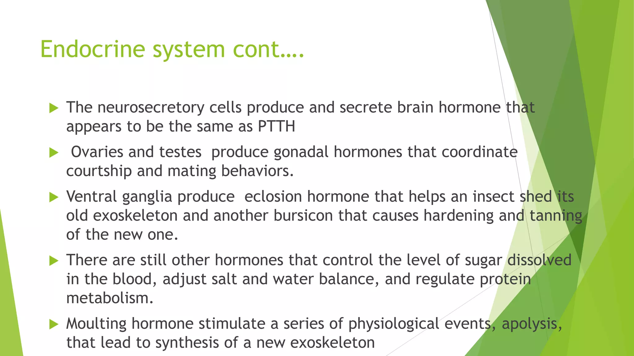 Insects physiology | PPTX