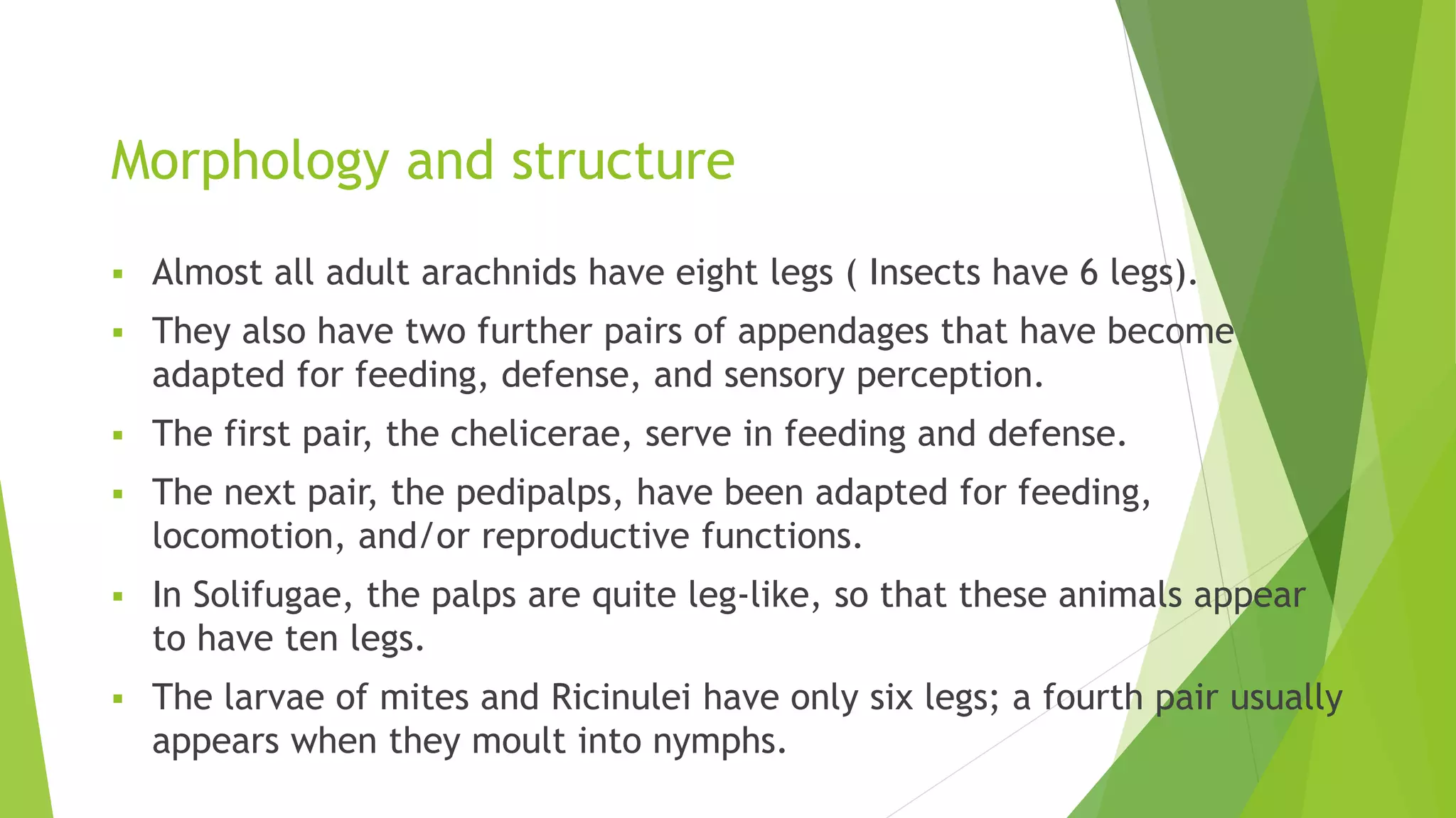 Insects physiology | PPTX