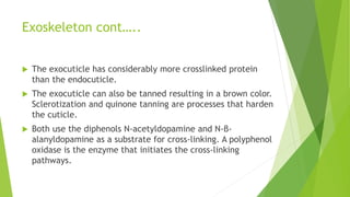 Insects physiology | PPTX