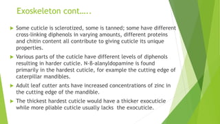Insects physiology | PPTX