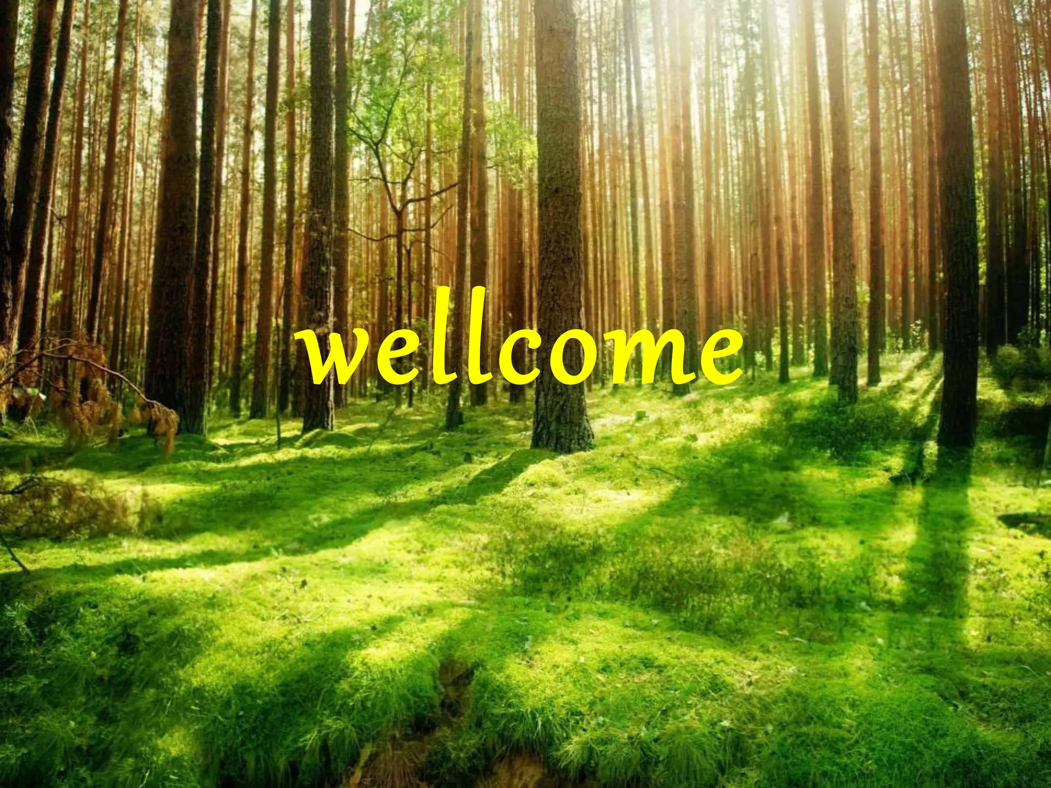 Insects,plant community structure. and succession | PPT
