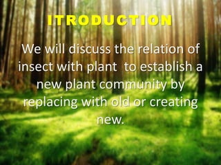 Insects,plant community structure. and succession | PPT