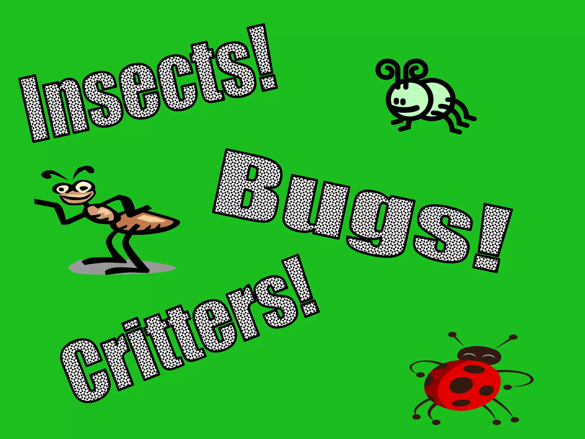 Insects powerpoint | PPTX