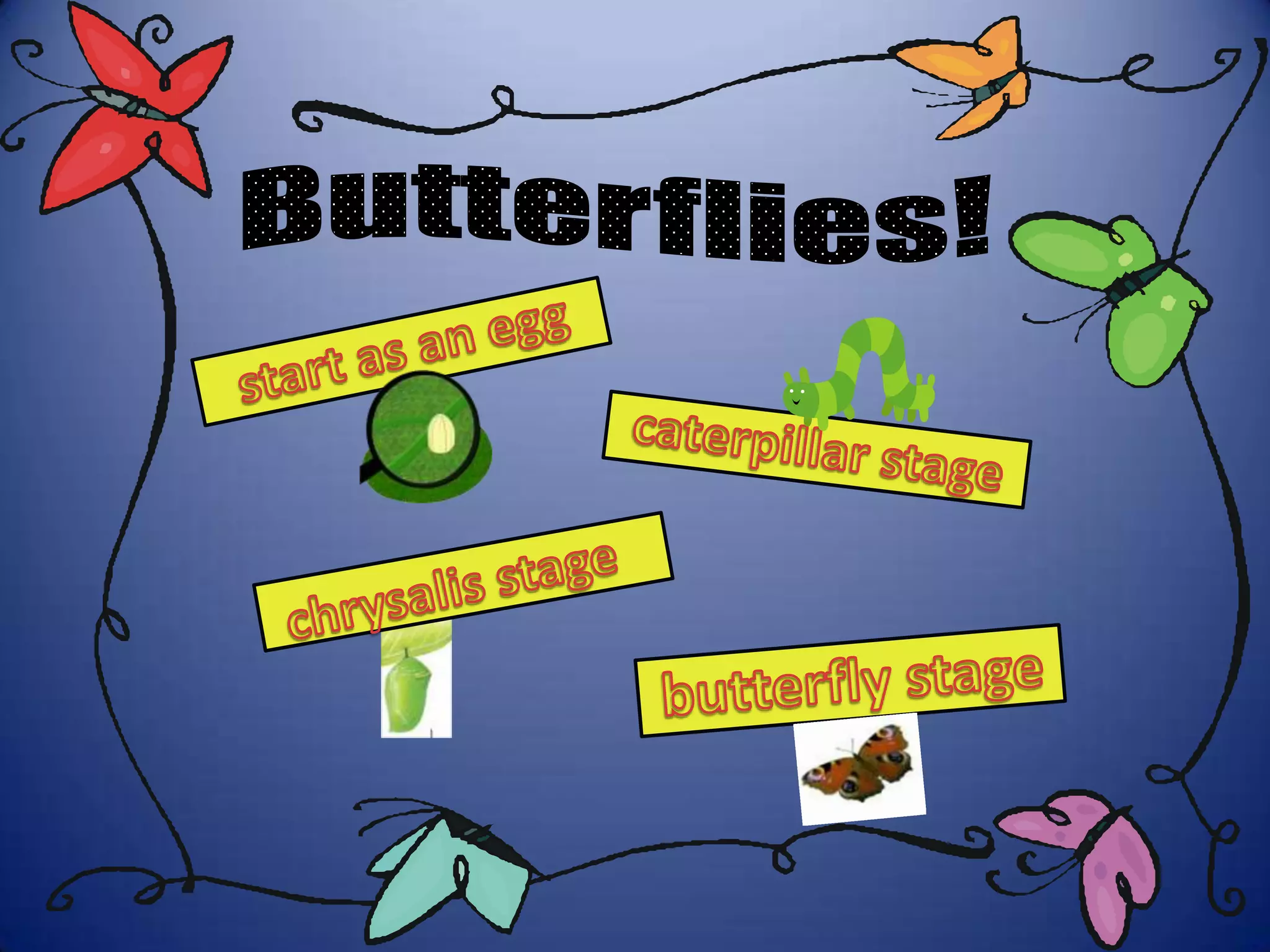 Insects powerpoint | PPTX