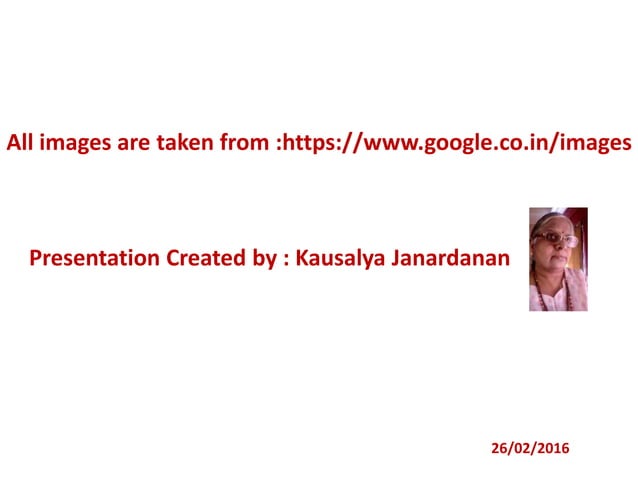 Insect Inspired technology | PPTX | Eye and Vision Conditions ...