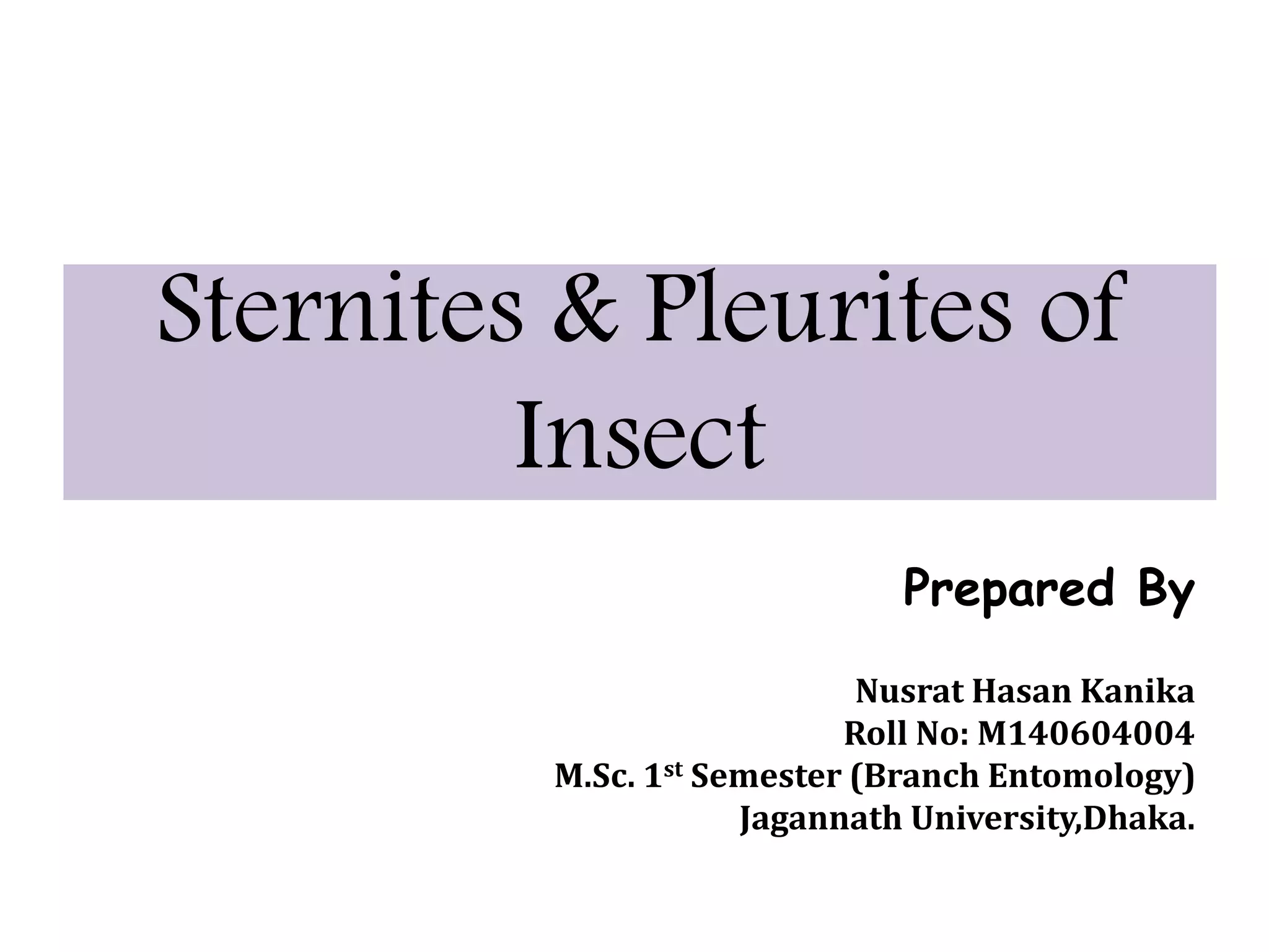 Insect sternites & pleurites | PPTX