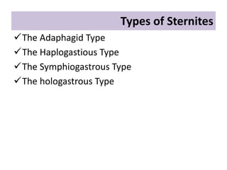 Insect sternites & pleurites | PPTX