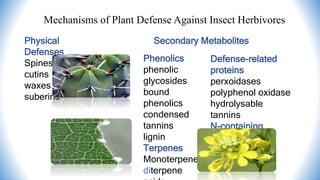 Insects that feed on toxic plants (adaptation) | PDF