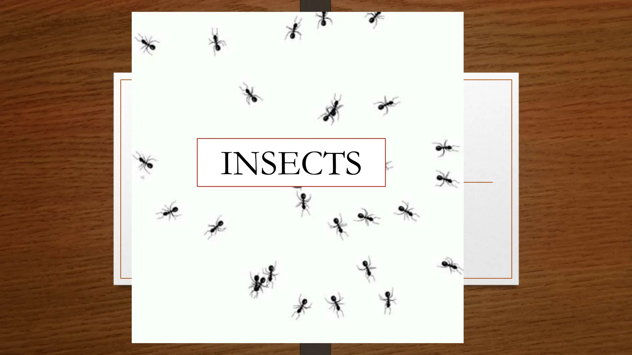 HOW TO USE THERE IS THERE ARE INSECTS.pptx