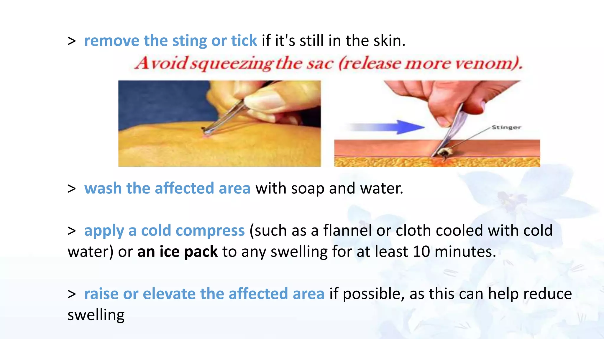 Insect Sting and bite management.pptx