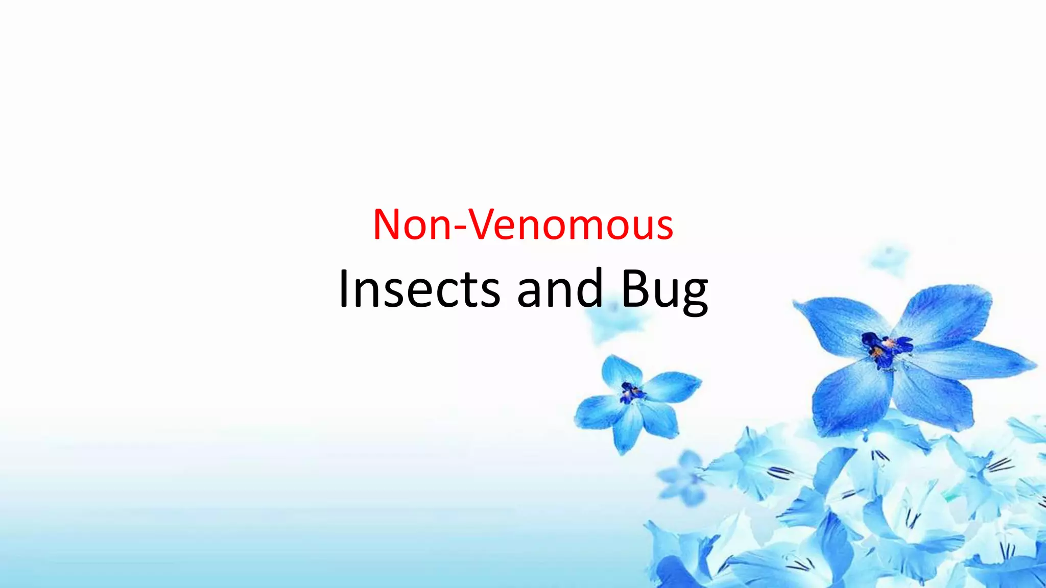 Insect Sting and bite management.pptx