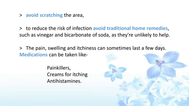 Insect Sting and bite management.pptx