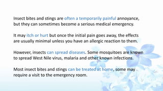 Insect Sting and bite management.pptx