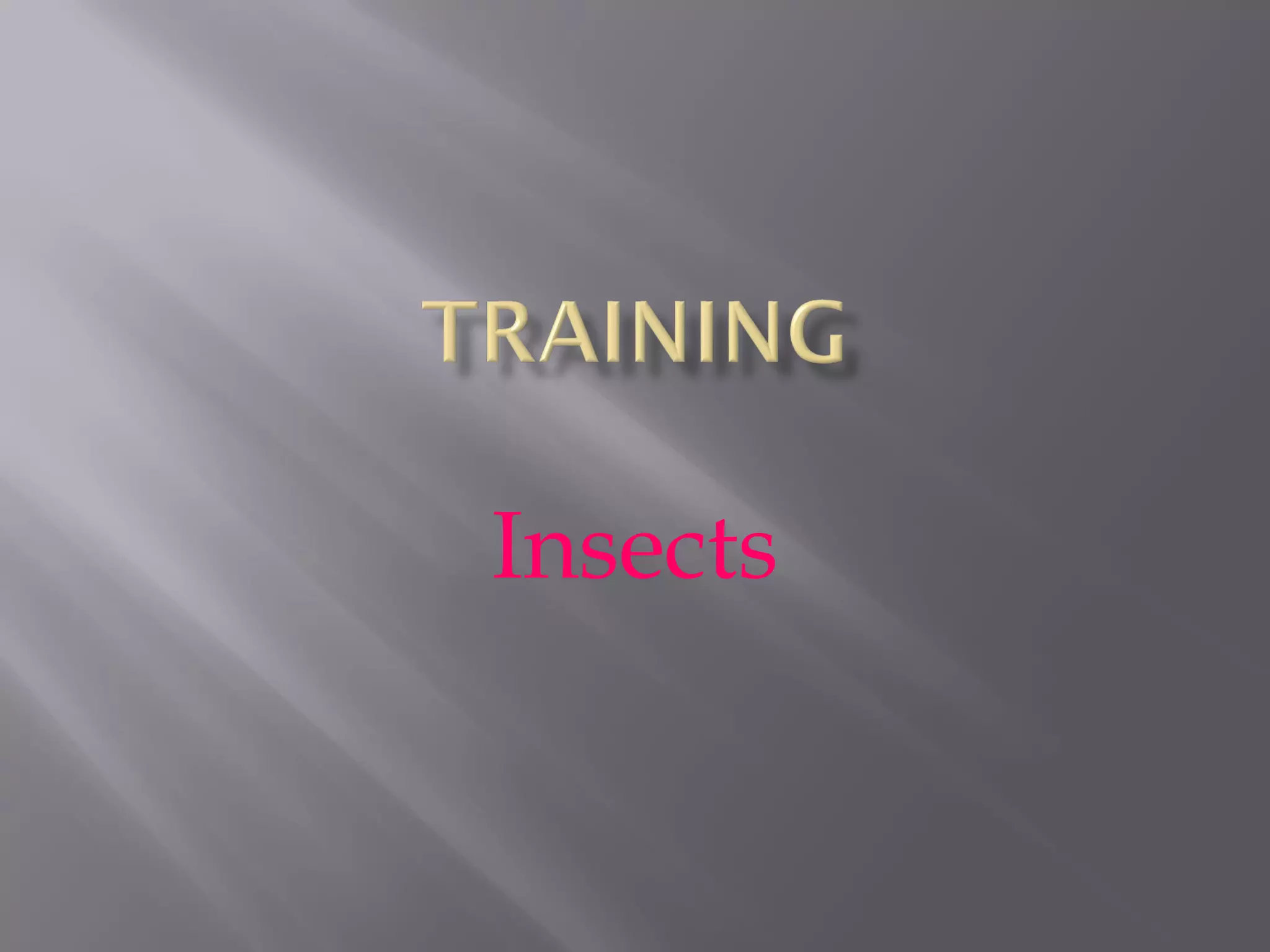 Insects [training] | PPT