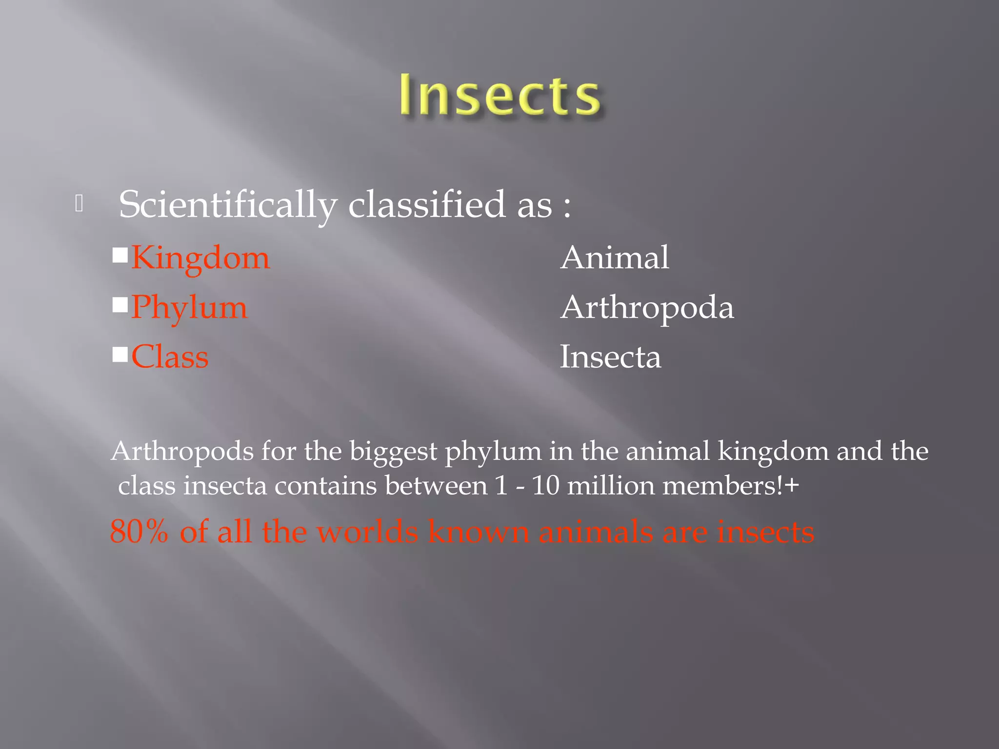 Insects [training] | PPT