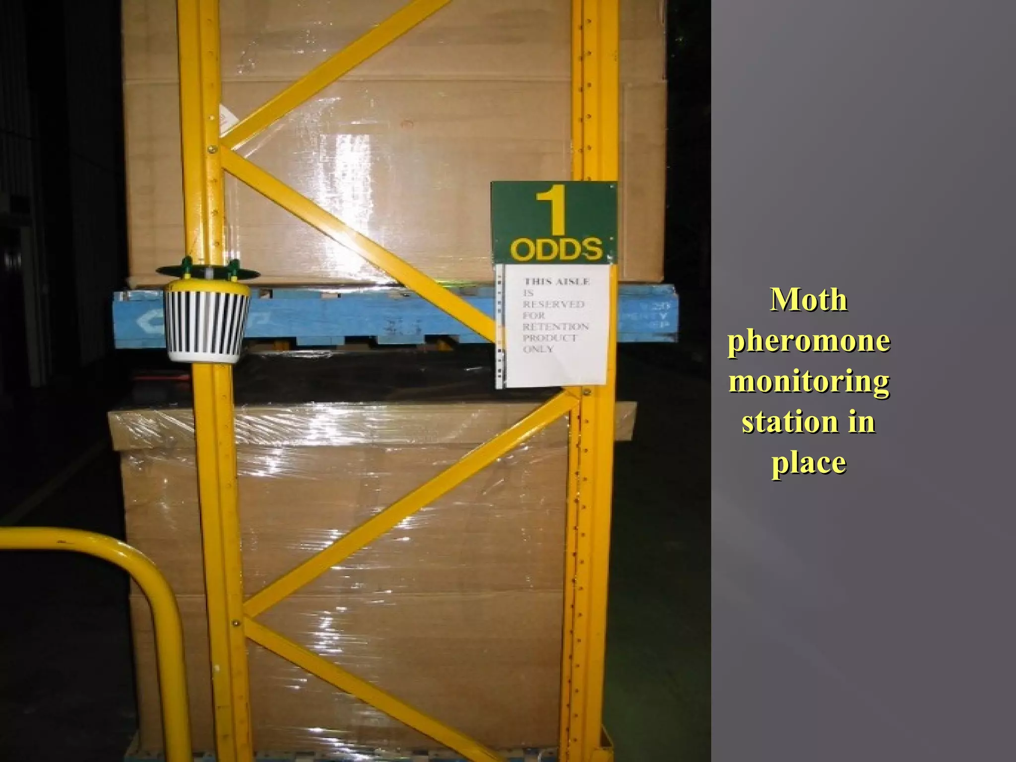 Insects [training] | PPT