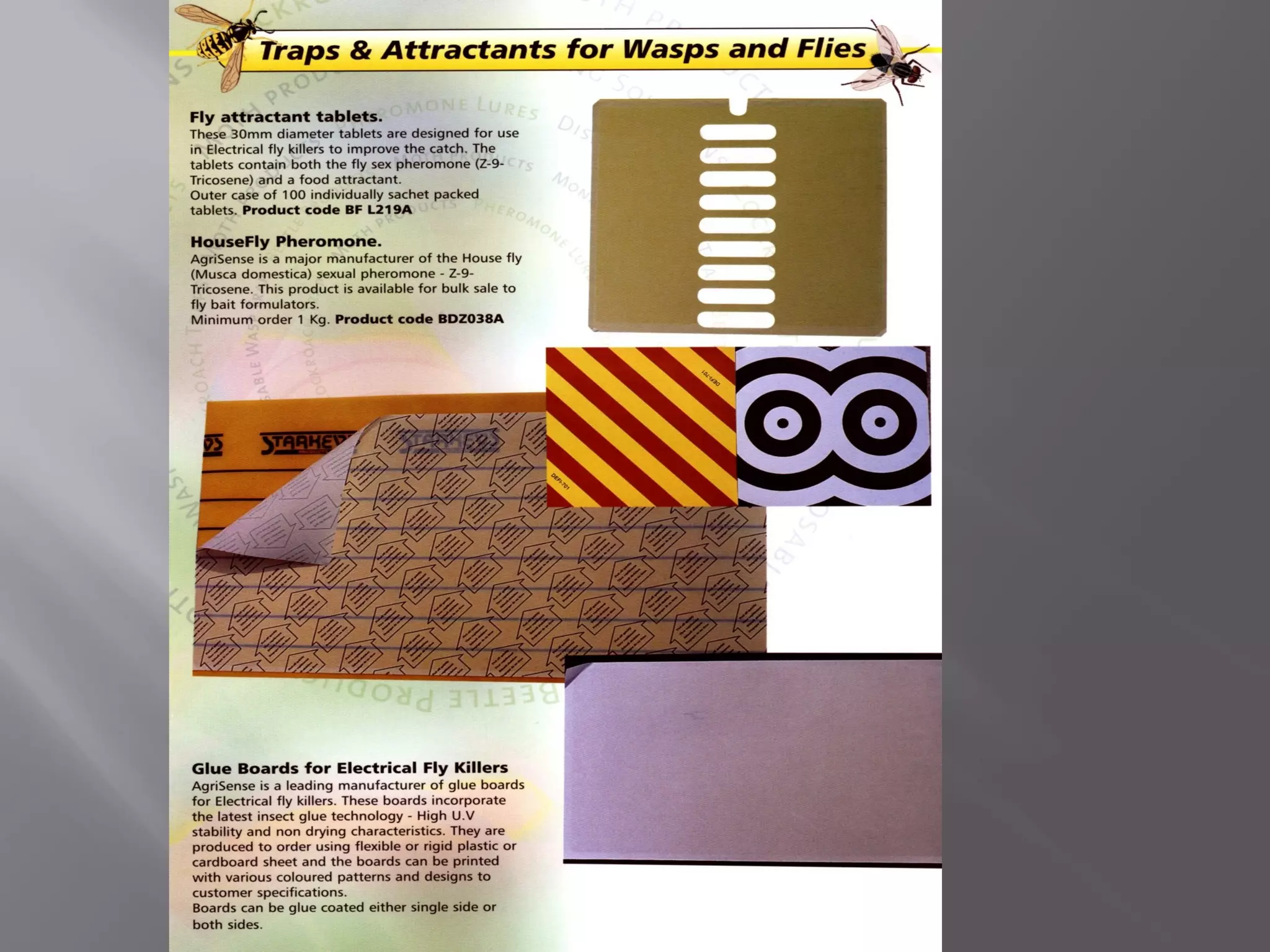 Insects [training] | PPT