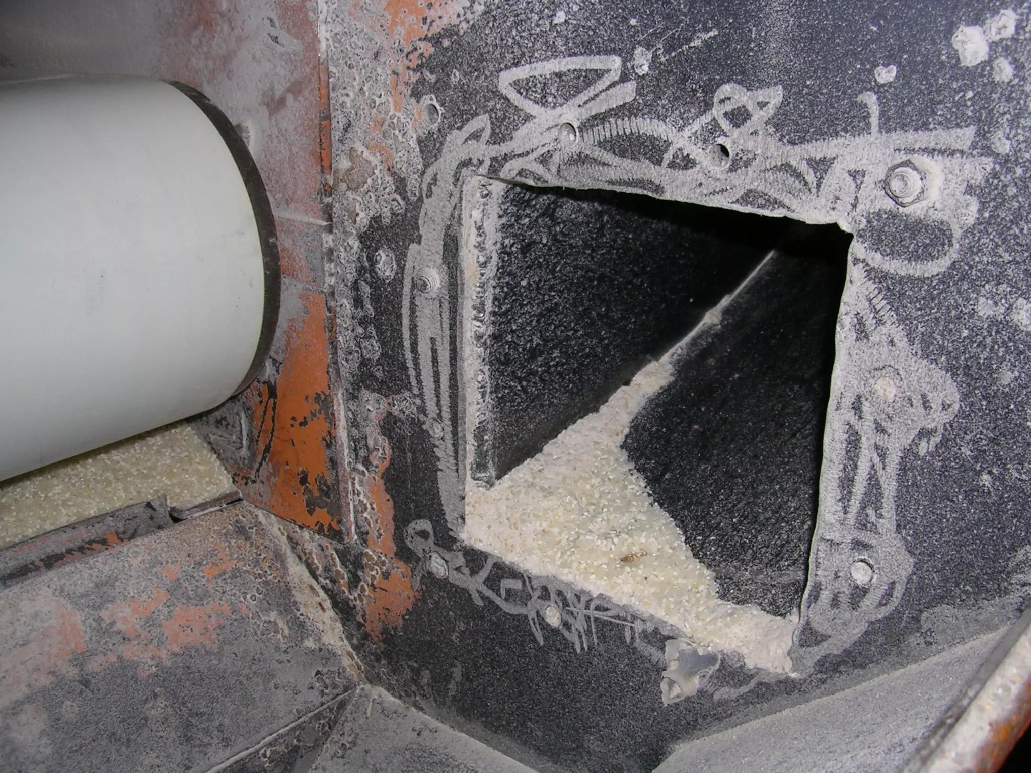 Insects [training] | PPT