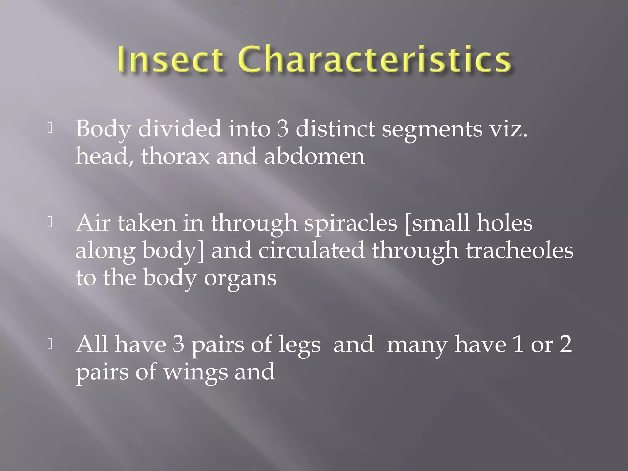 Insects [training] | PPT