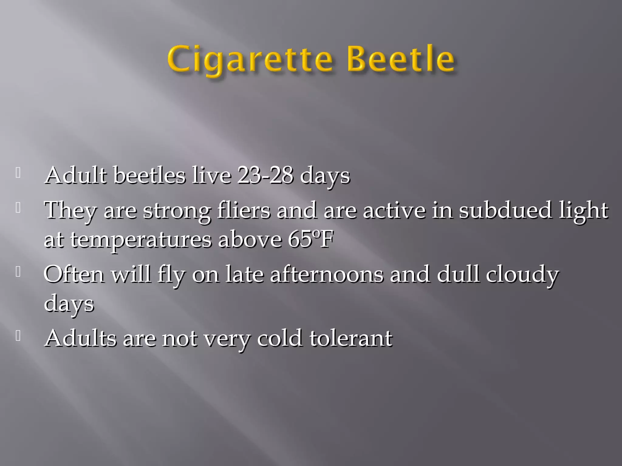 Insects [training] | PPT