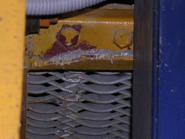 Insects [training] | PPT