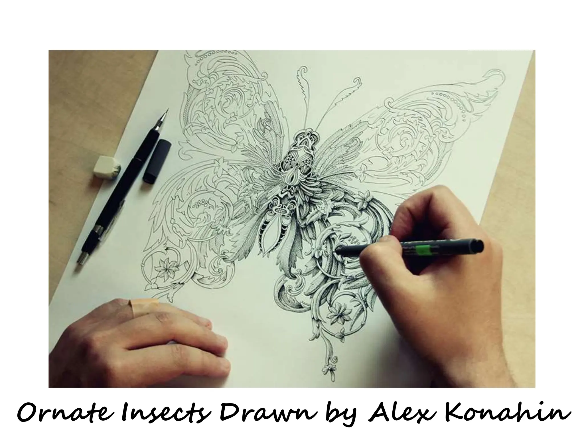 Arte- simetría de insectos más imprimibles.ppt