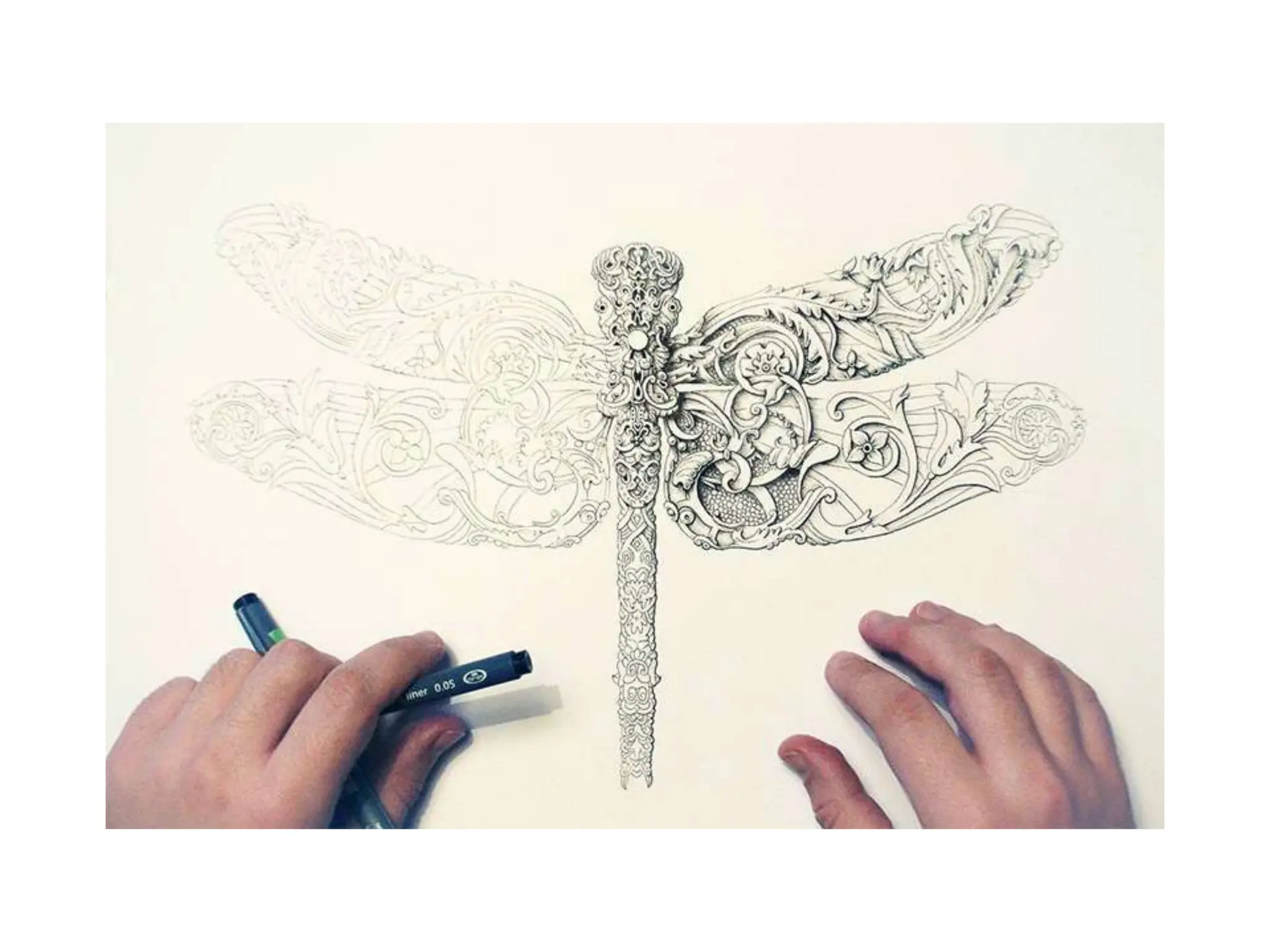 Arte- simetría de insectos más imprimibles.ppt