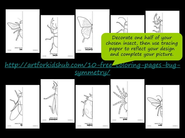 Arte- simetría de insectos más imprimibles.ppt