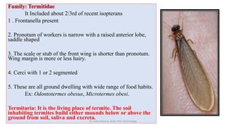 insect taxonomy presentation for B.Sc. agriculture | PPTX
