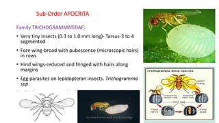 insect taxonomy presentation for B.Sc. agriculture | PPTX