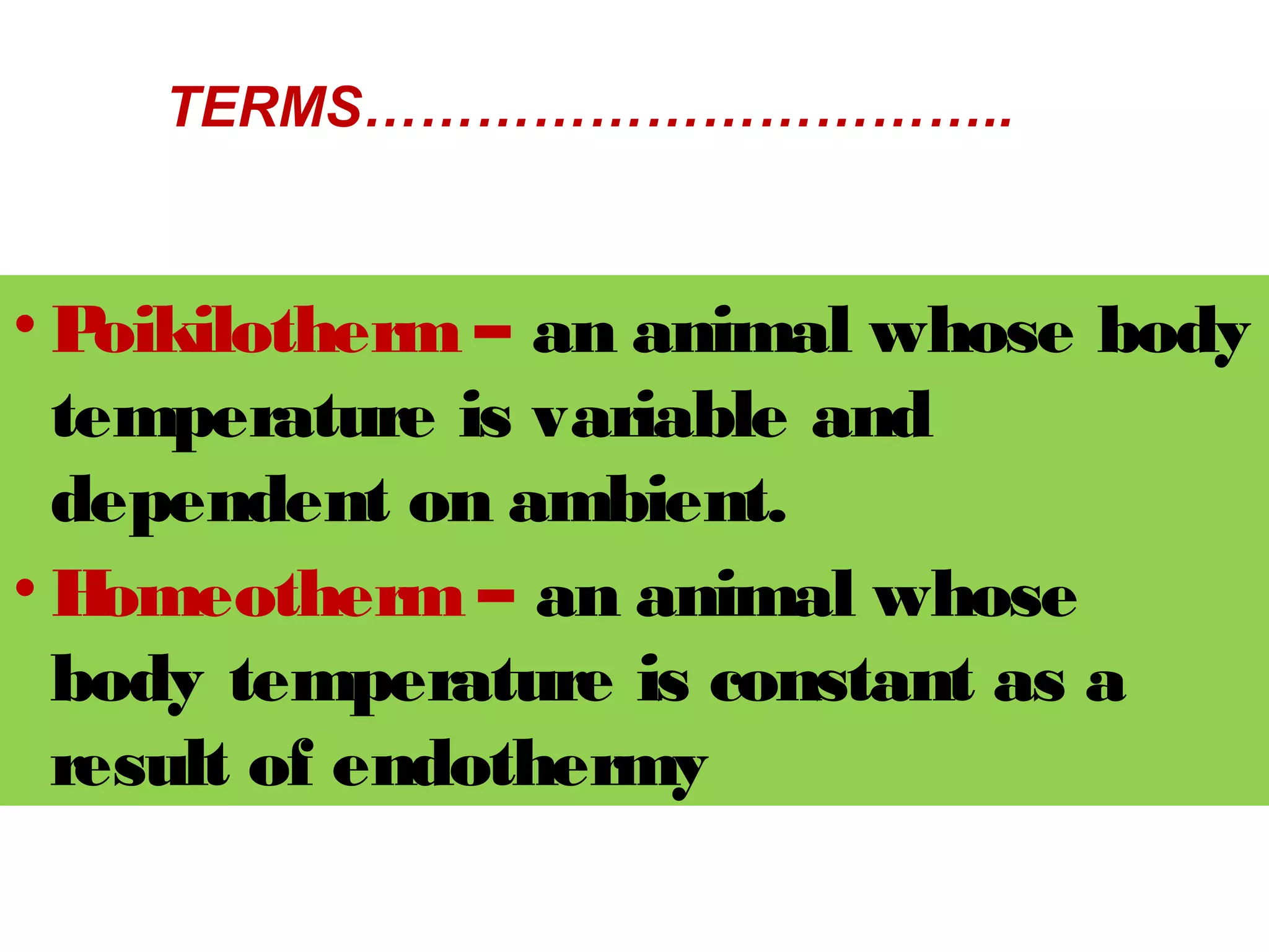 INSECT THERMO DYNAMICS | PPT