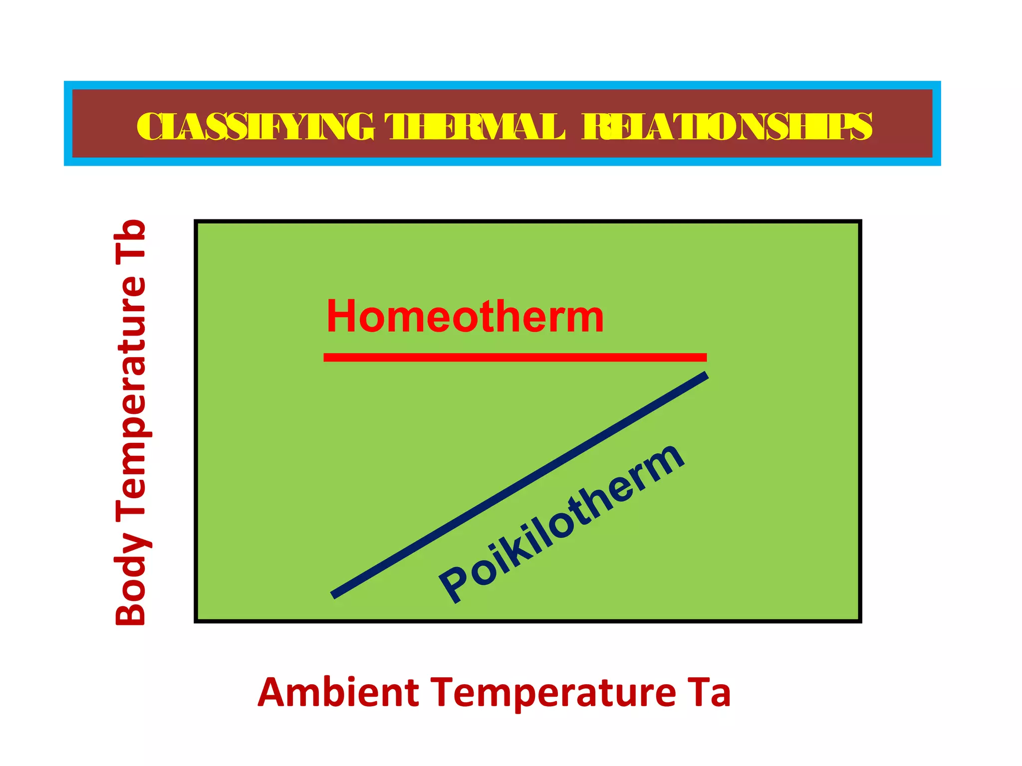 INSECT THERMO DYNAMICS | PPT