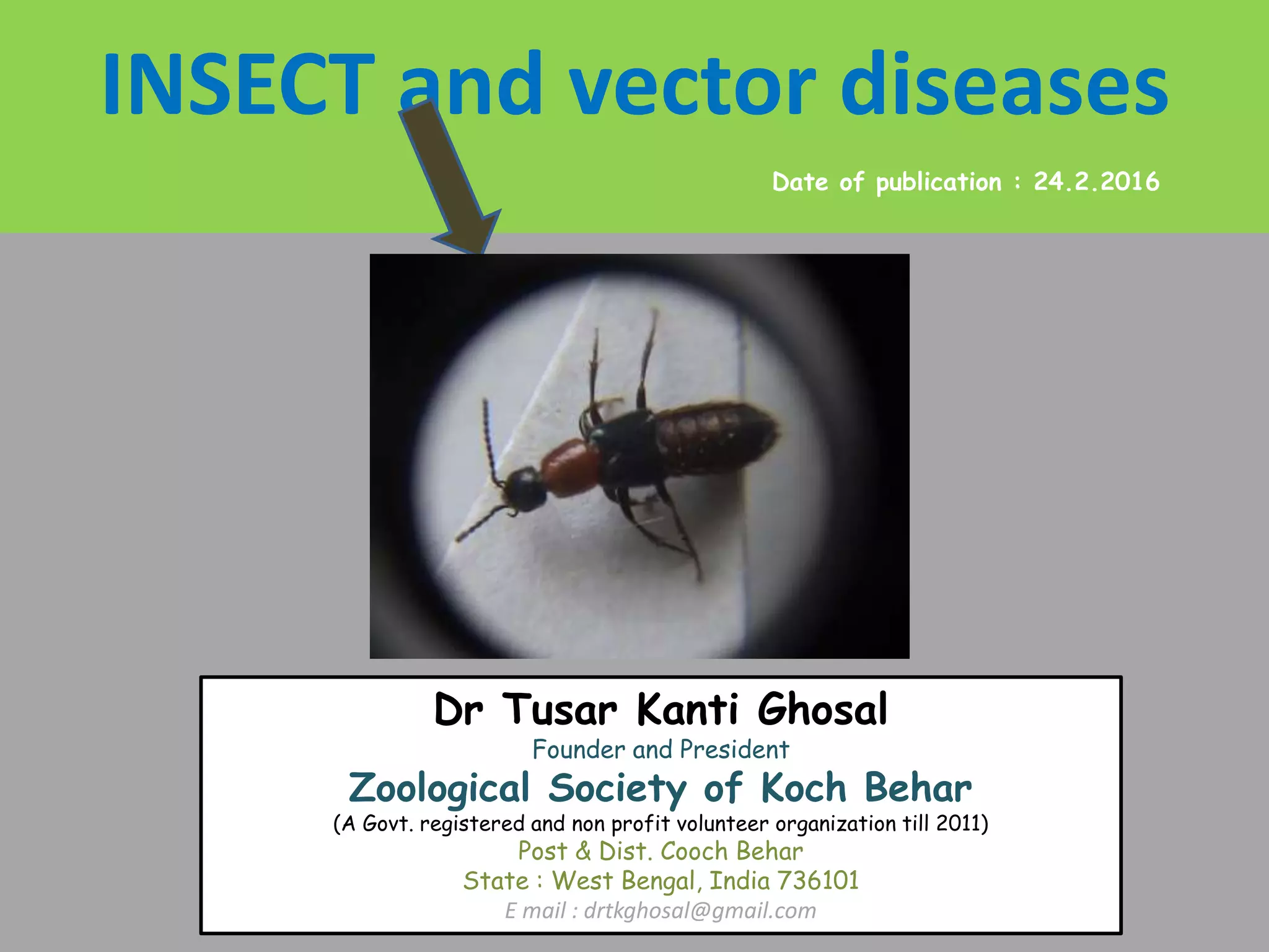 Insect and vector diseases | PPTX