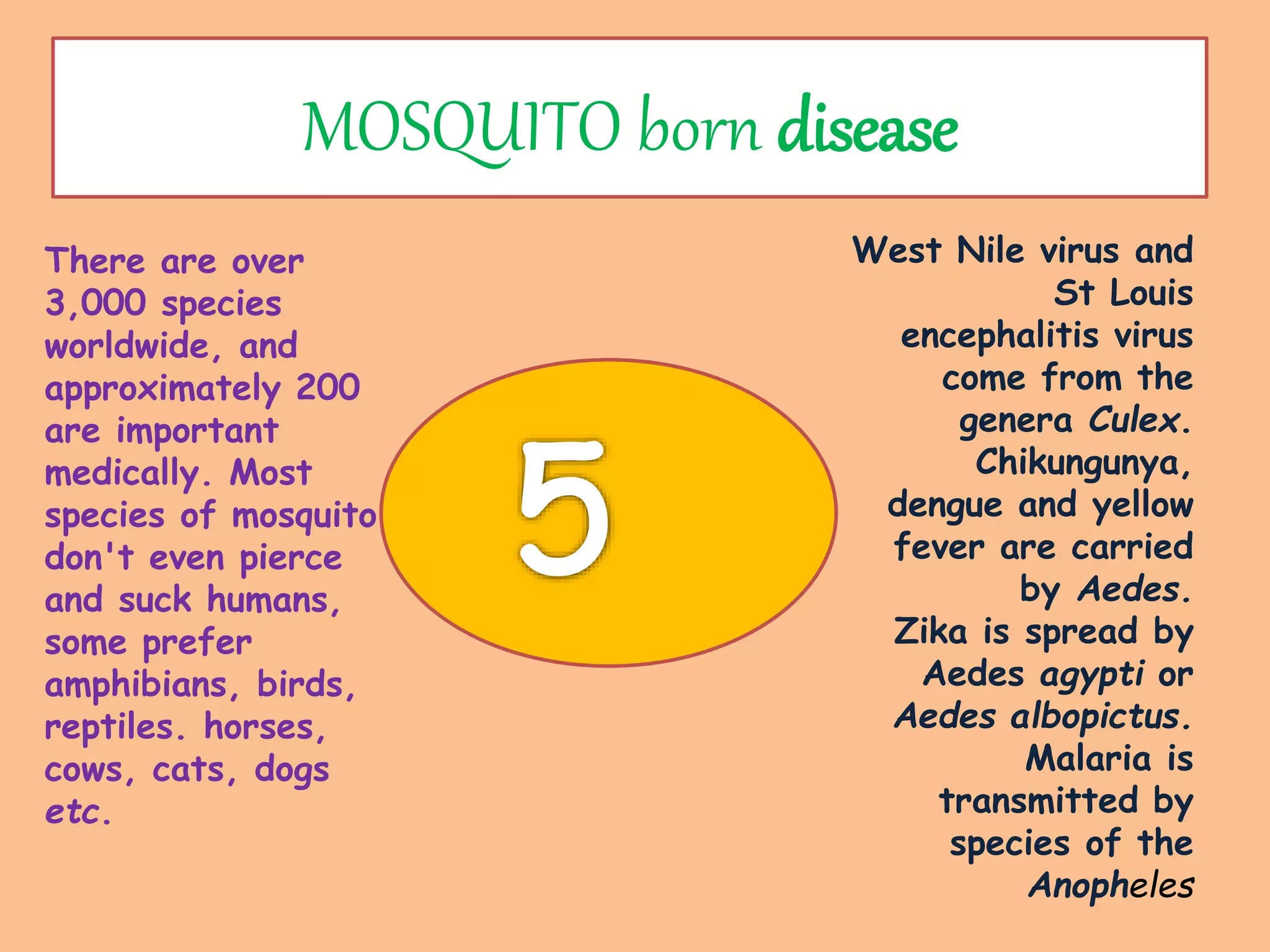Insect and vector diseases | PPTX