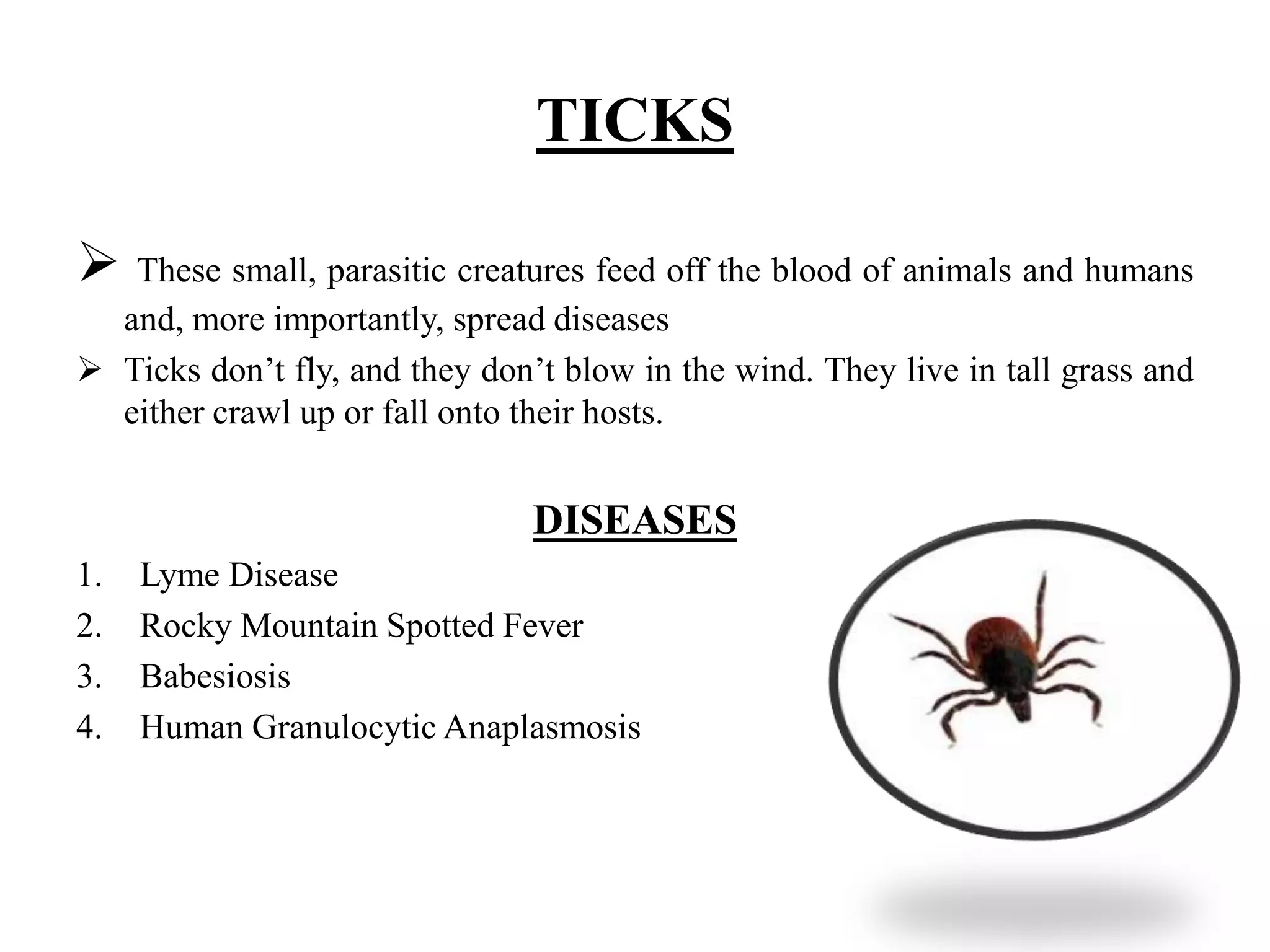 Insect, vector and rodent control | PPTX