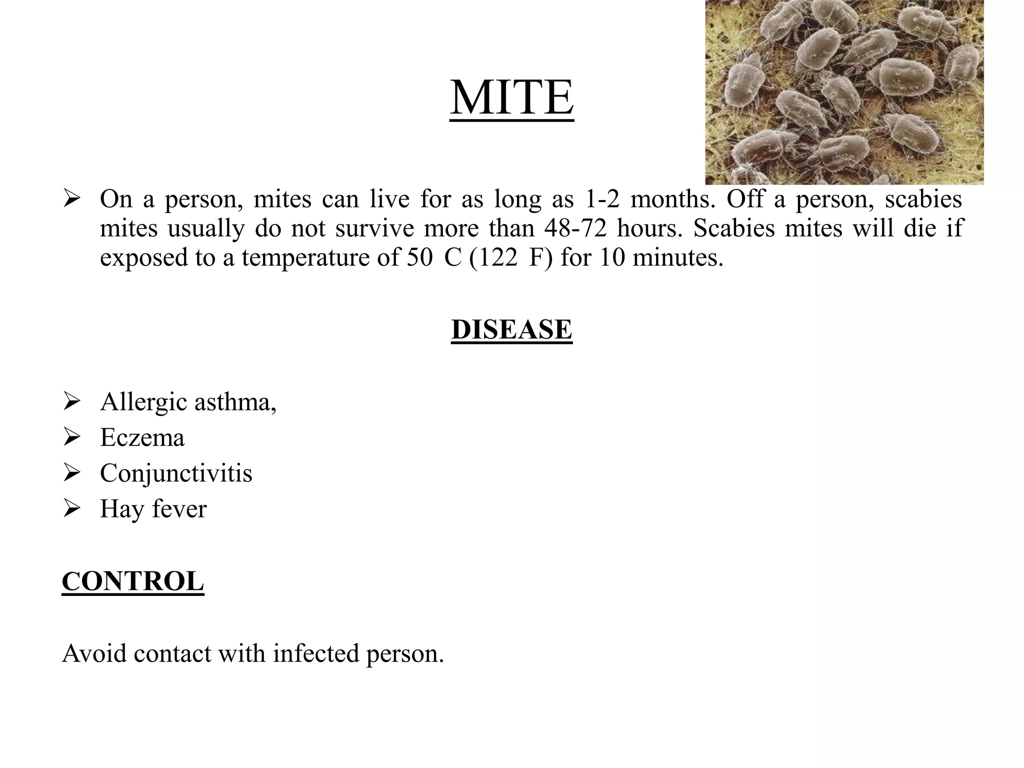Insect, vector and rodent control | PPTX