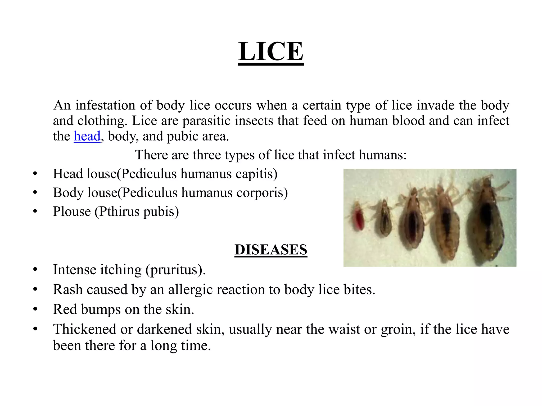 Insect, vector and rodent control | PPTX
