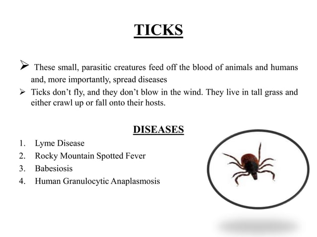 Insect, vector and rodent control | PPT