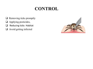 Insect, vector and rodent control | PPTX