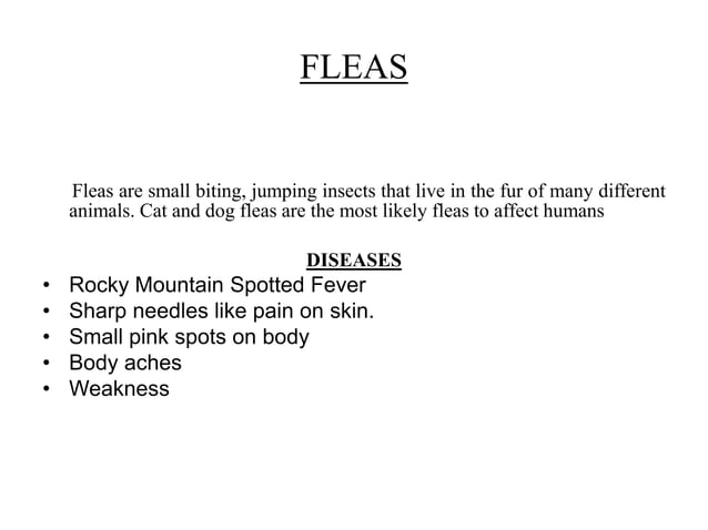 Insect, vector and rodent control | PPTX | Diseases and Conditions ...