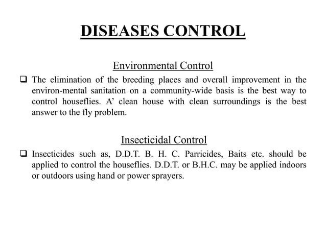 Insect, vector and rodent control | PPTX | Diseases and Conditions ...