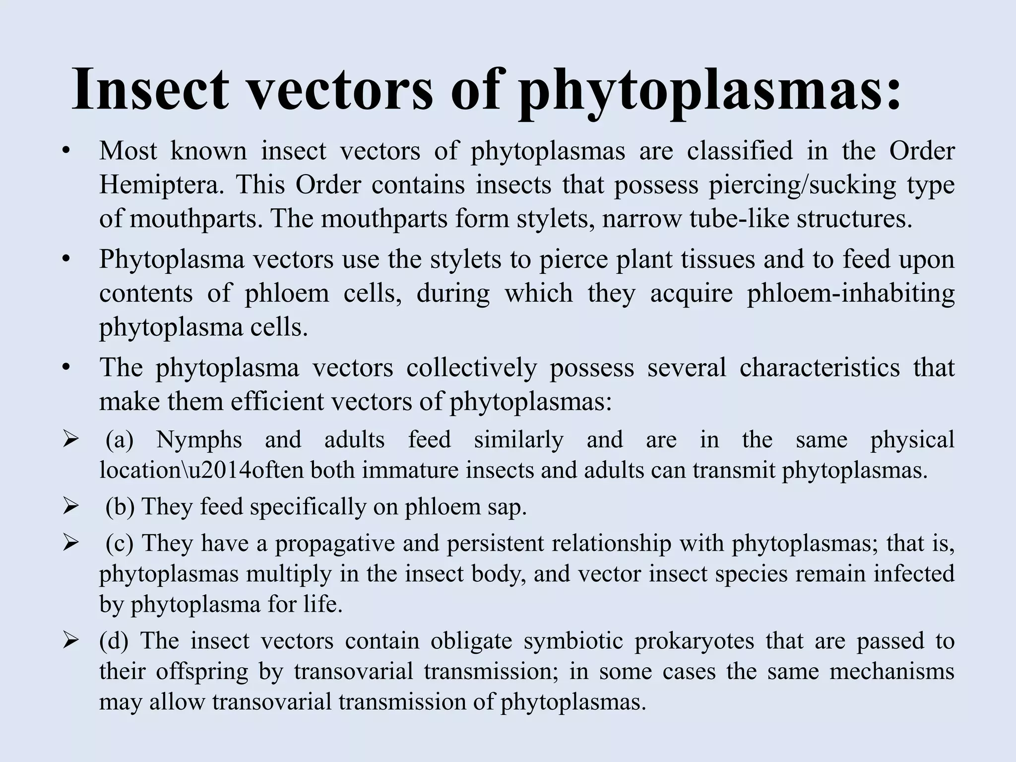 Insect Vector Of Phytoplasma Diseases, Their Symptoms.pptx