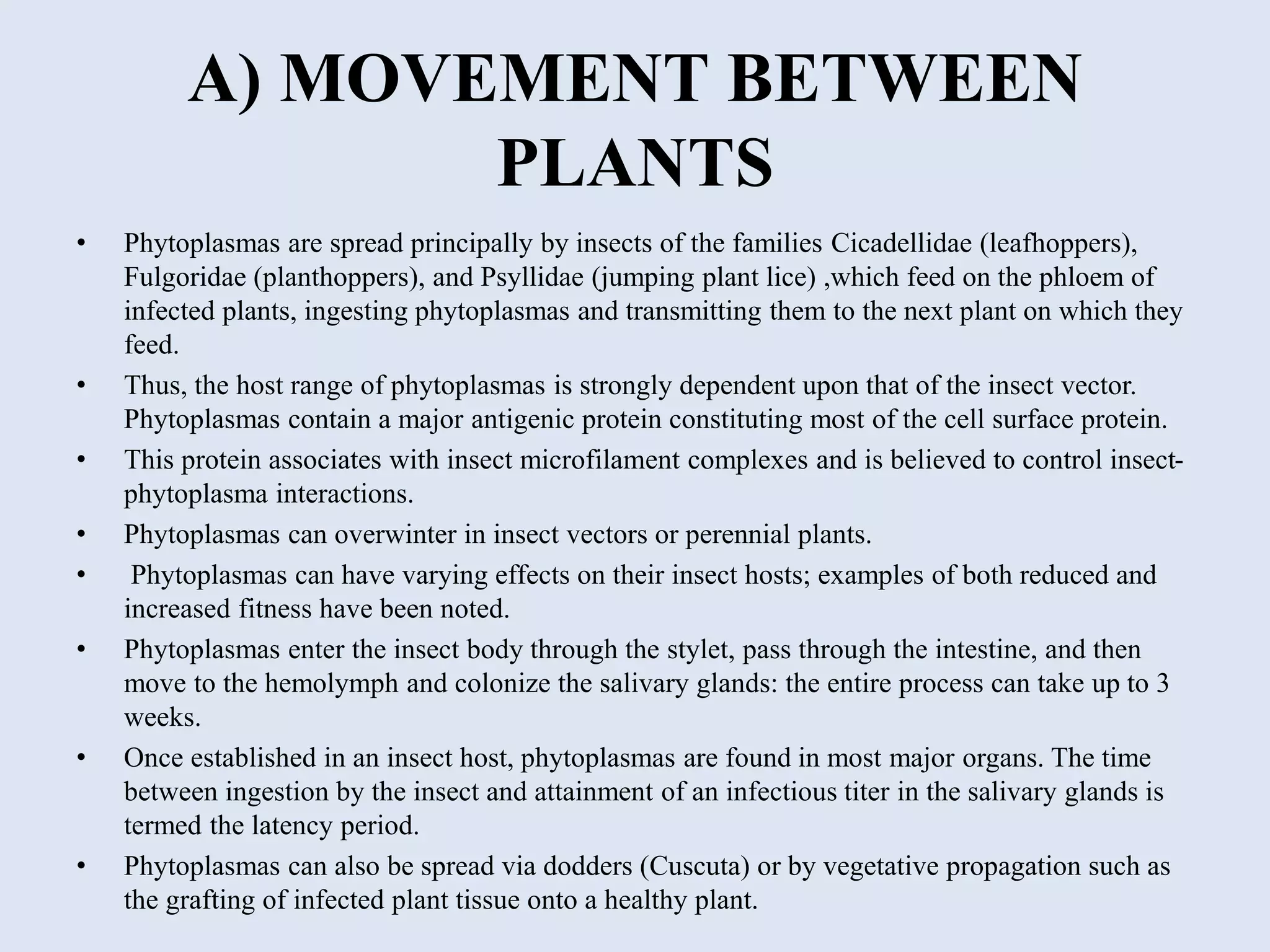 Insect Vector Of Phytoplasma Diseases, Their Symptoms.pptx