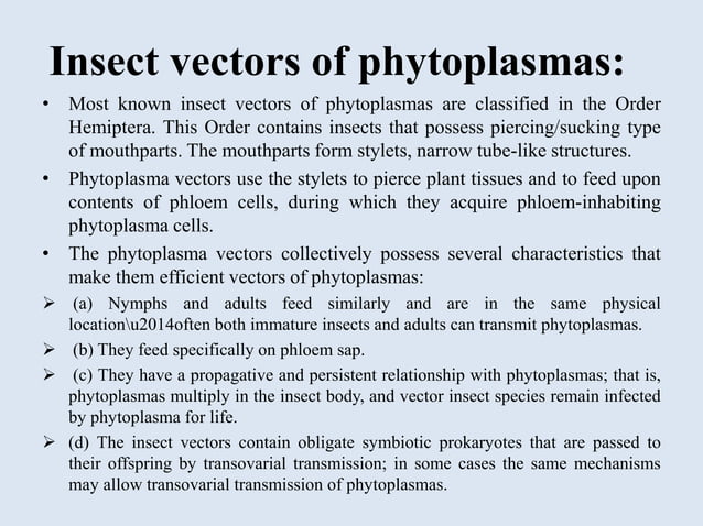 Insect Vector Of Phytoplasma Diseases, Their Symptoms.pptx | Gardening ...