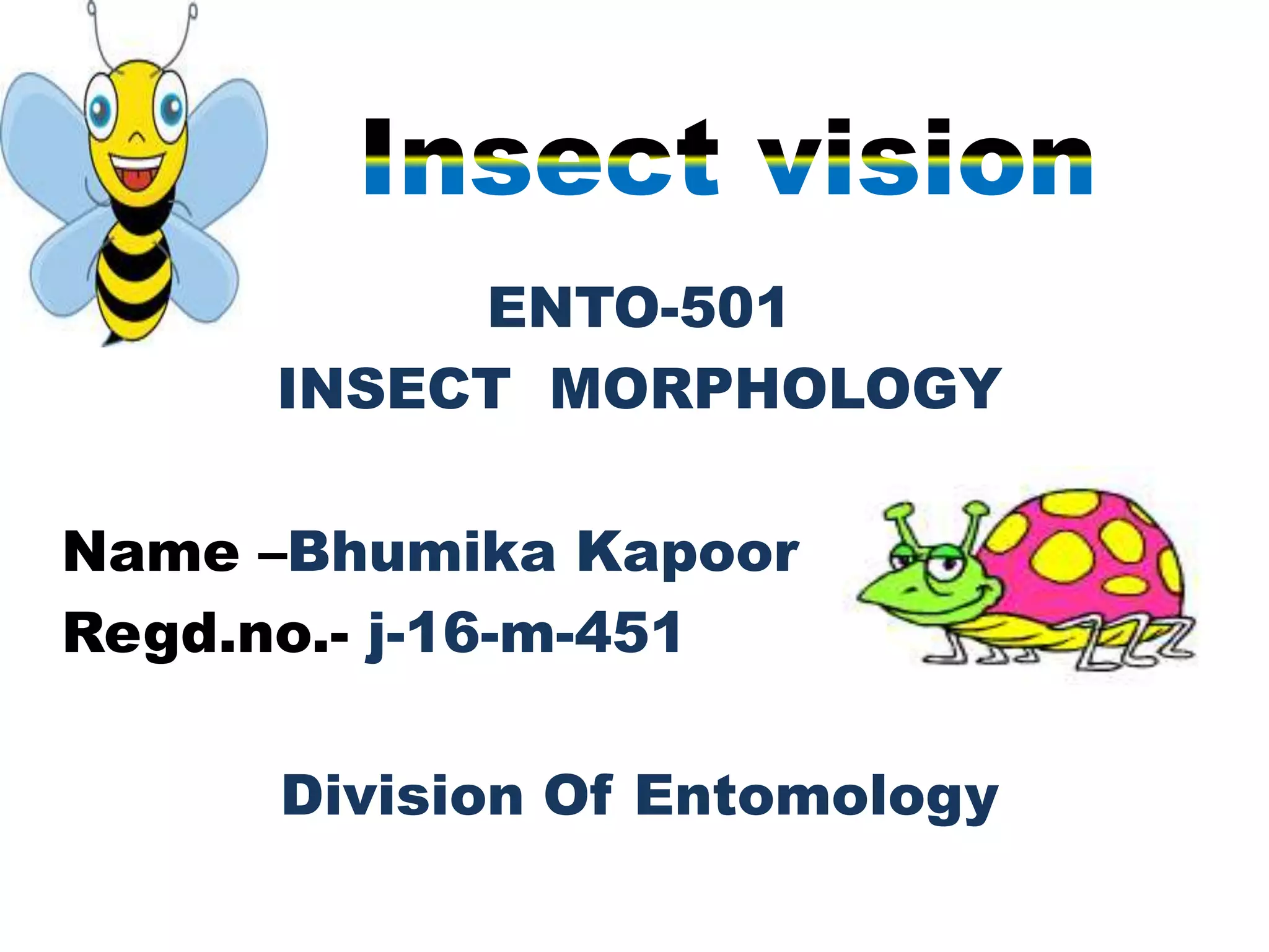 Insect vision | PPTX | Eye and Vision Conditions | Diseases and Conditions