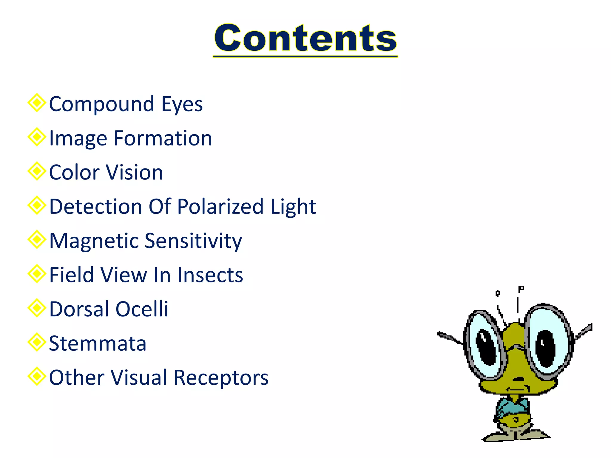 Insect vision | PPTX