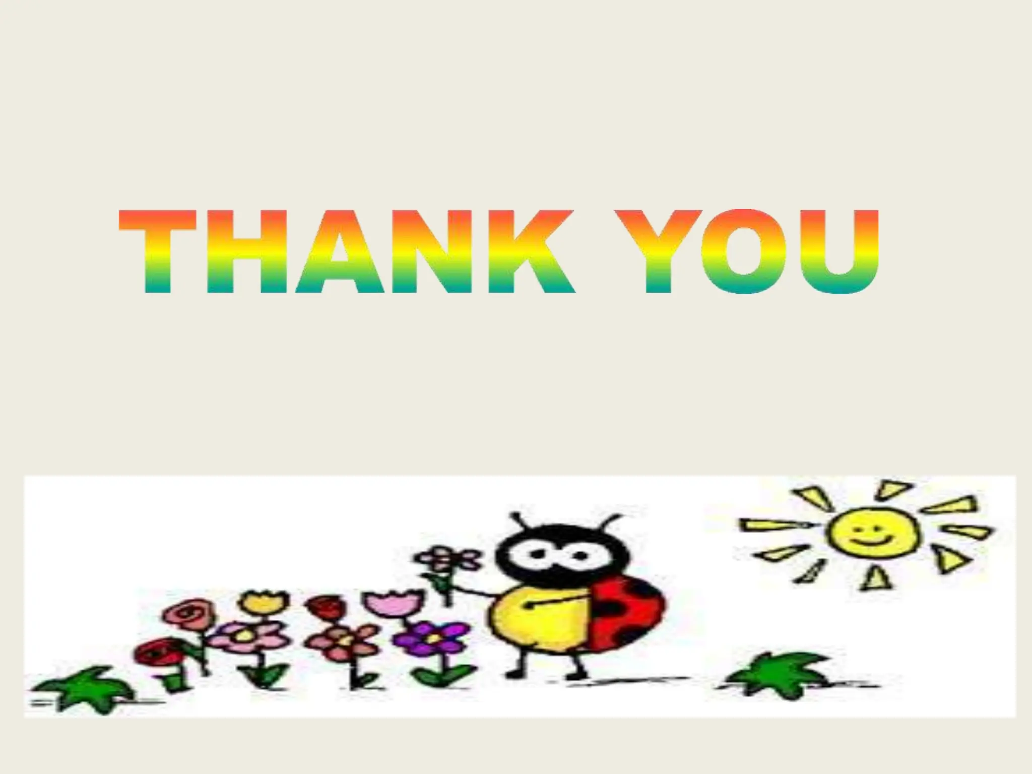 insect vision, entomology, insect eye facet | PPTX